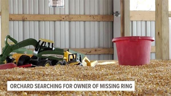 Fact: The Humble Corn Kernel Has a Way of Making Your Jewelry Disappea ...